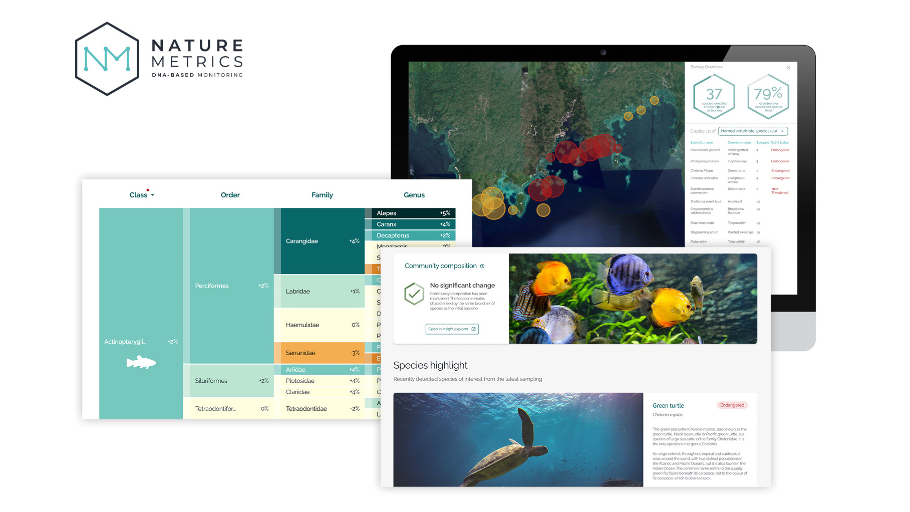 About Ananda Impact Ventures | Ananda Impact Ventures Impact Report 2022